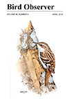Bird Observer - New England Birding Journal