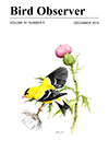 Bird Observer - New England Birding Journal
