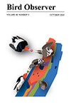 Bird Observer - New England Birding Journal