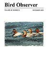 Bird Observer - New England Birding Journal