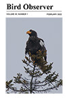 Bird Observer - New England Birding Journal