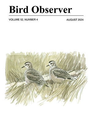 Bird Observer - New England Birding Journal