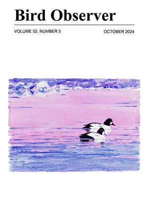 Bird Observer - New England Birding Journal