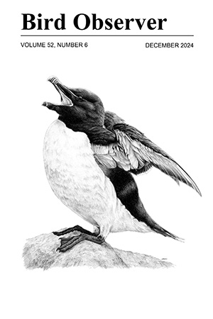 Bird Observer - New England Birding Journal