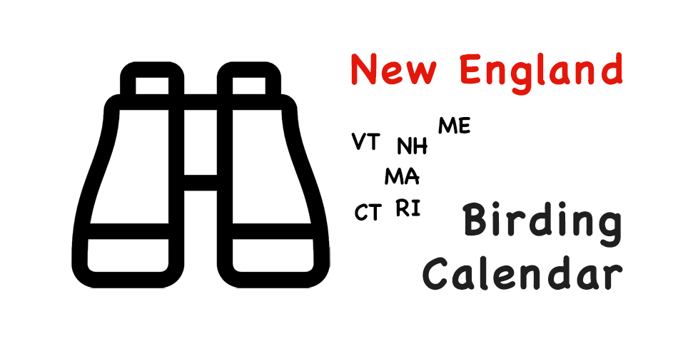 Bird Observer - New England Birding Journal